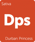 New Strains Alert: Gorilla Girl, Tangie Cookies, Durban Princess, and ...