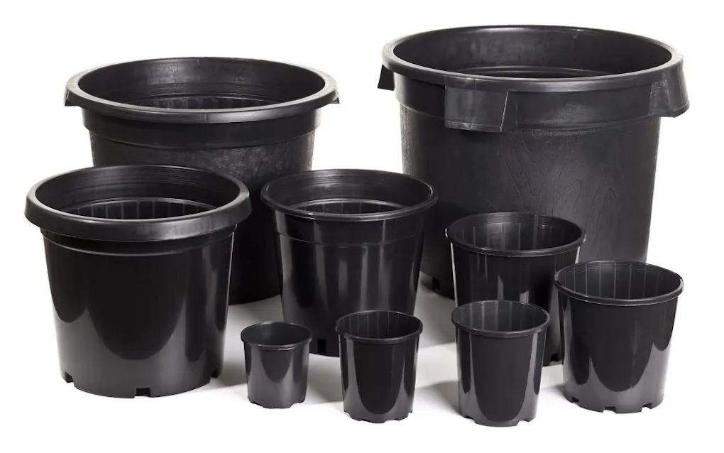 How to choose the right container for your cannabis plant | Leafly
