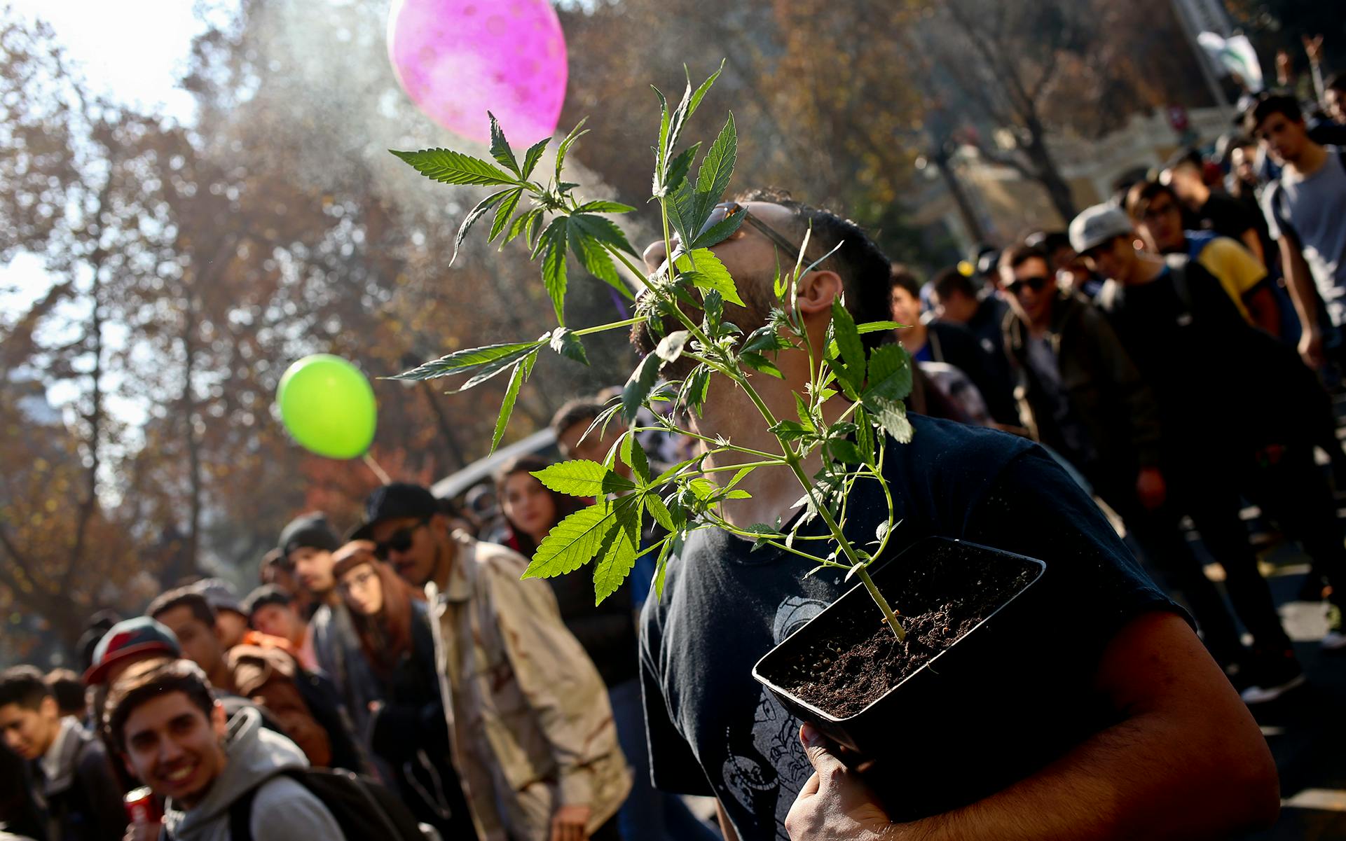 8 Cannabis Festivals That Changed the Game | Leafly