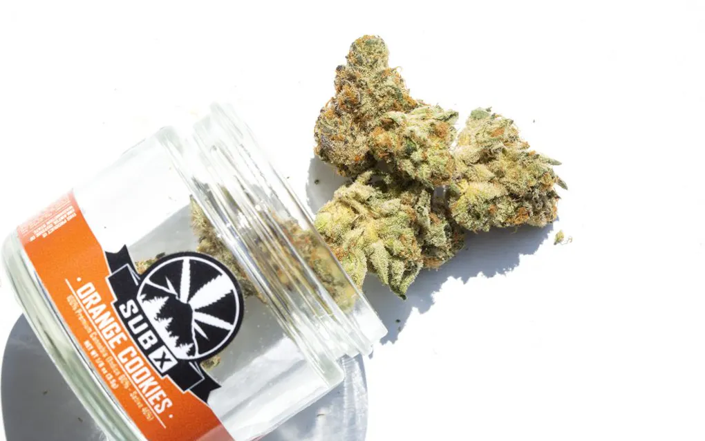 Try This Strain: Orange Cookies, the Body High for When You're Low | Leafly