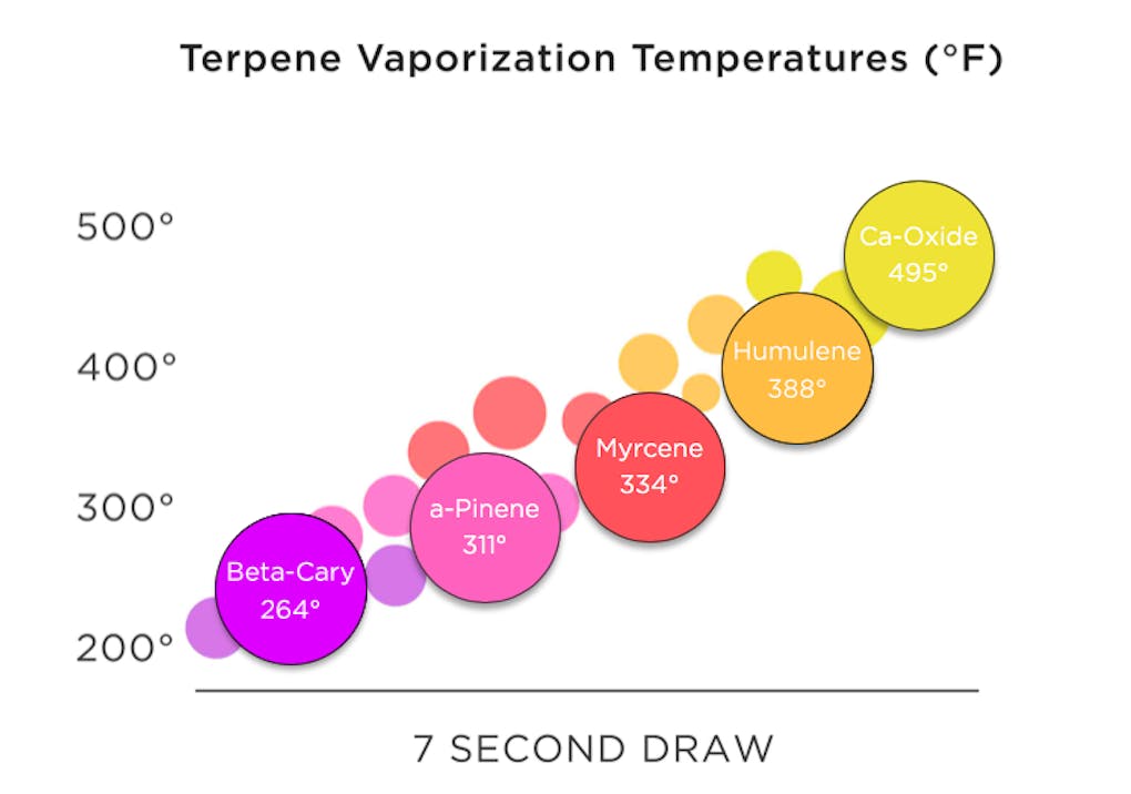 The Secret to Unlocking Full Cannabis Flavors and Effects: Boiling ...
