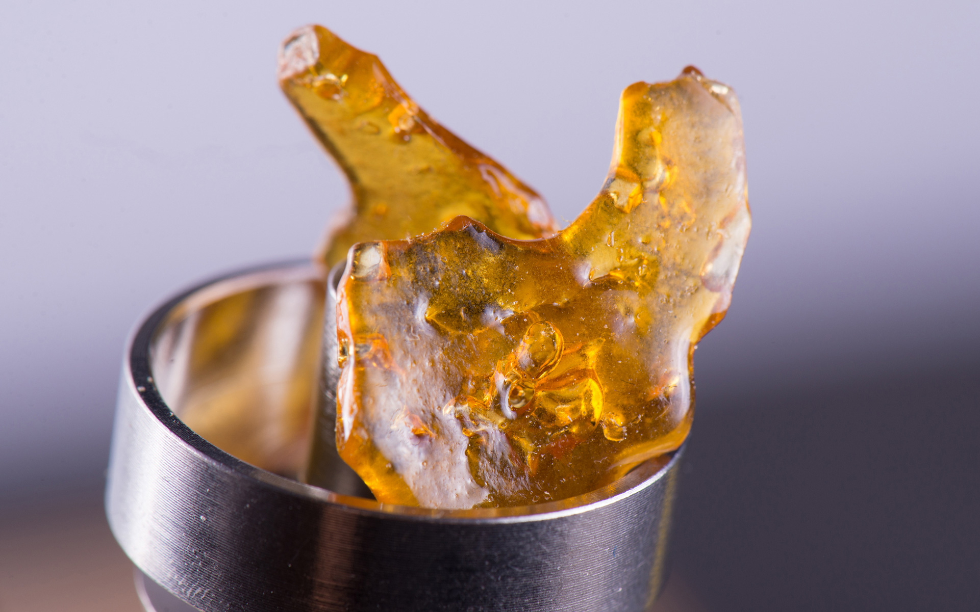 What Touring an Extraction Lab Taught Me About Washington Cannabis | Leafly