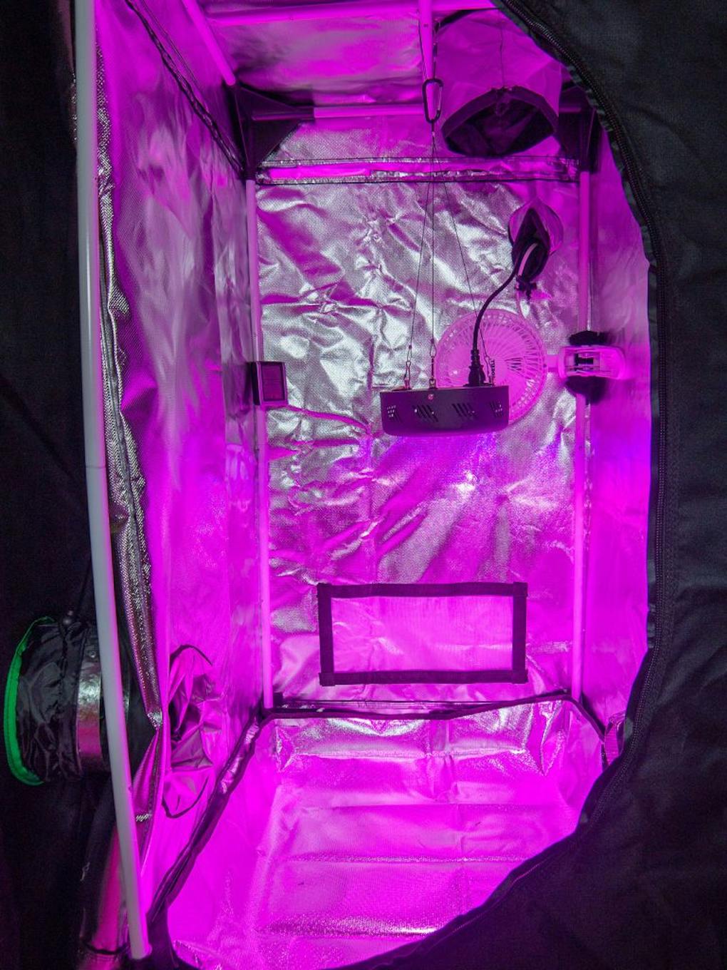 How to build an indoor cannabis grow room on a budget | Leafly