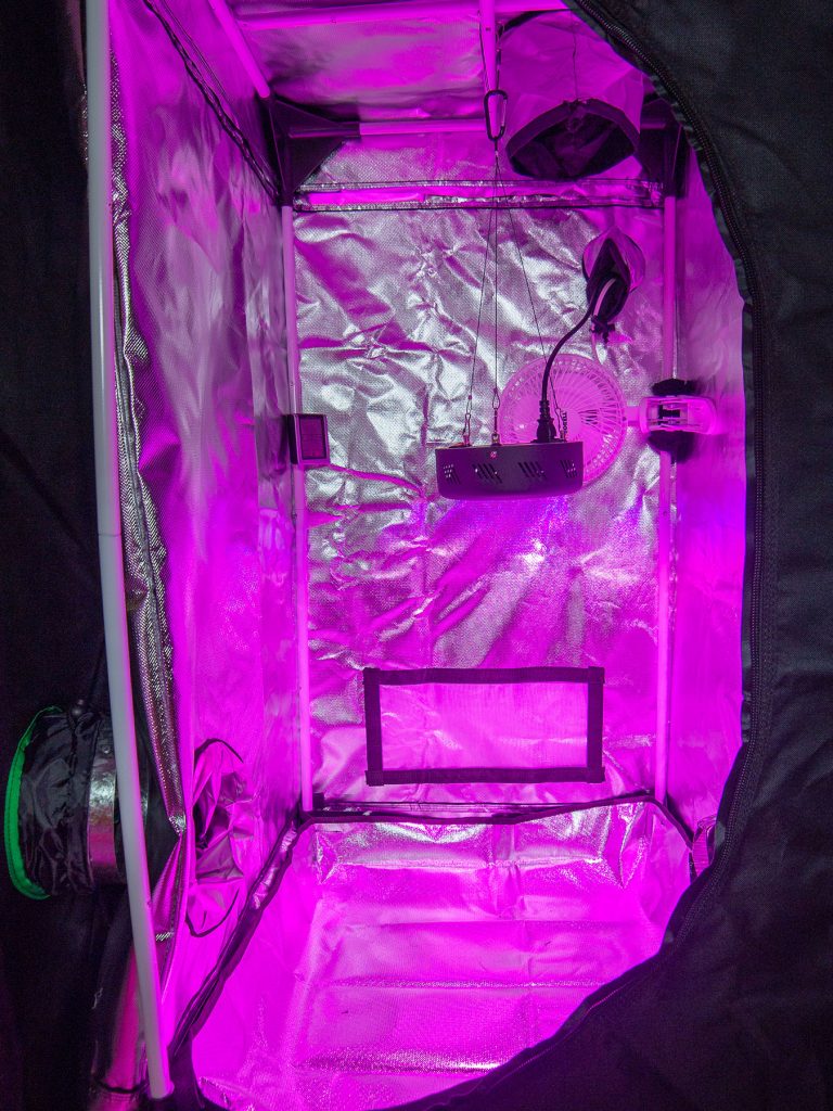 How to build an indoor cannabis grow room on a budget | Leafly