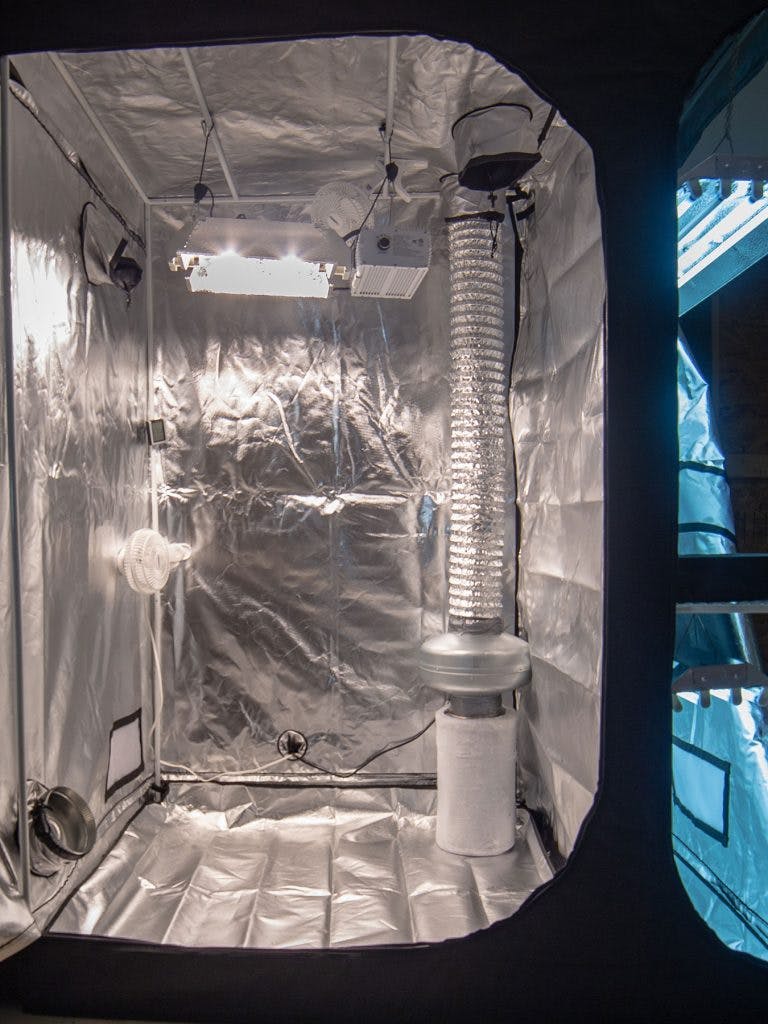 How to build an indoor cannabis grow room on a budget | Leafly