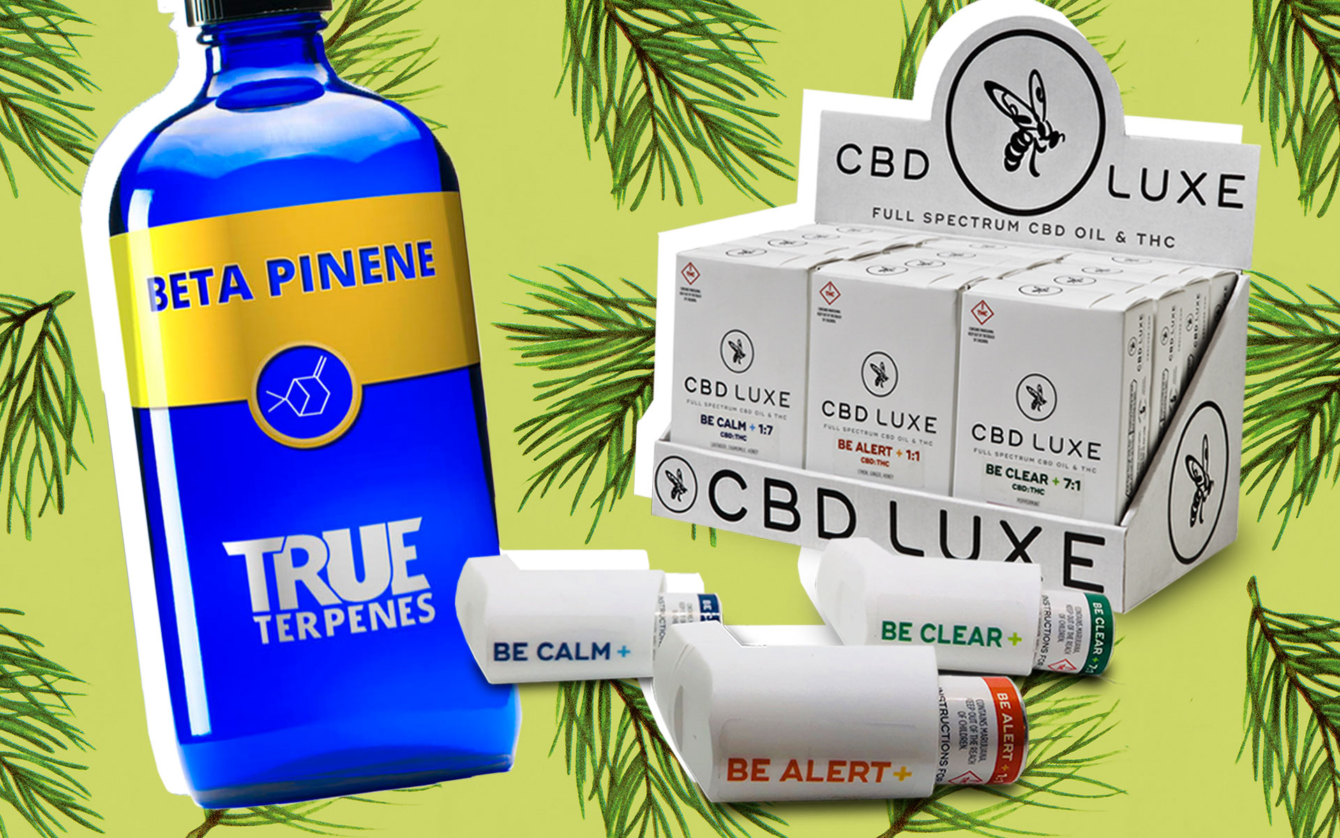 Ramp Up The Holidays With These Pinene Rich Products Leafly