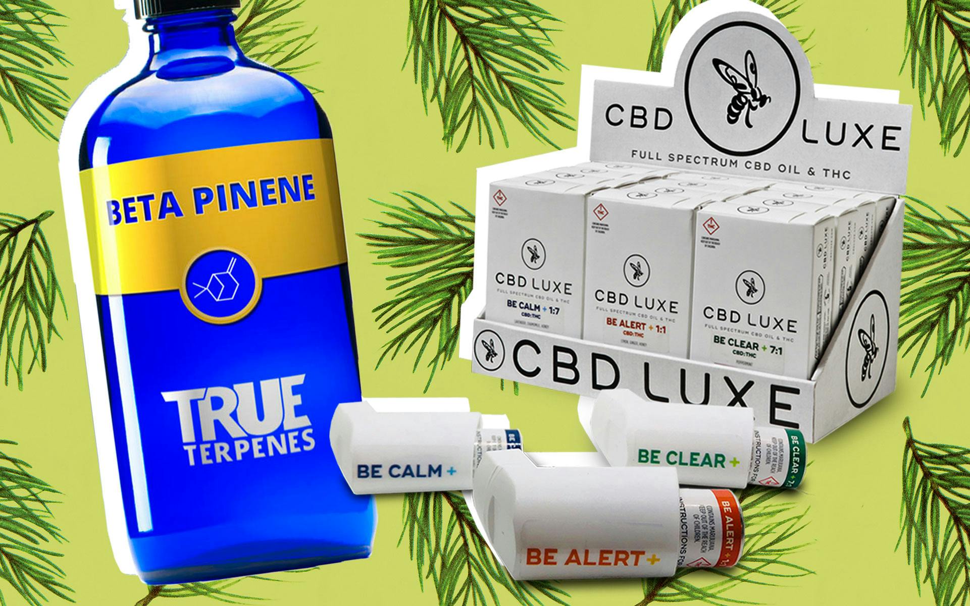 Ramp Up the Holidays With These Pinene-Rich Products | Leafly
