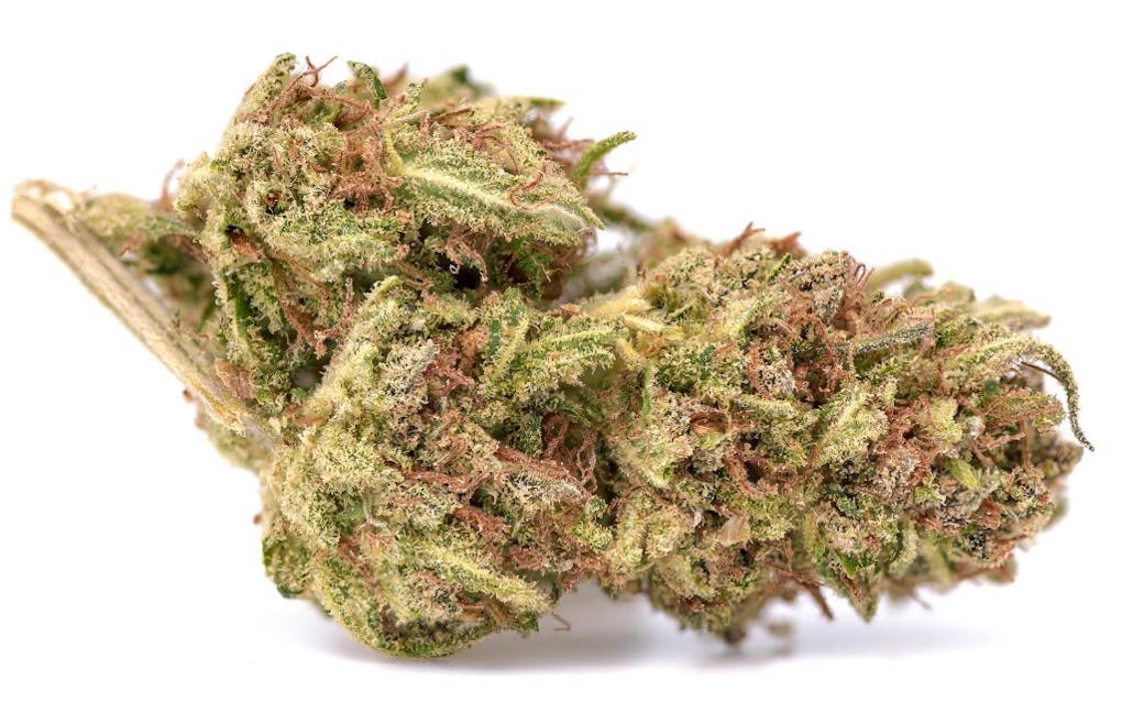 Nothing's Fresher Than These 5 Sun-Grown Strains in Oregon | Leafly