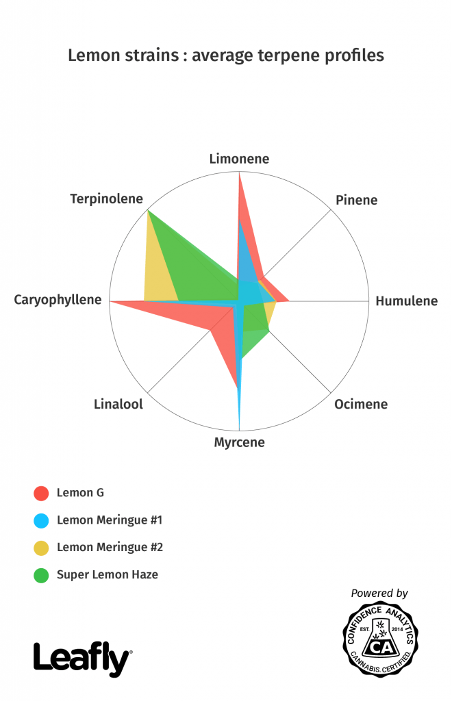Terpenes Found in the "Lemon" Cannabis Strain Family | Leafly