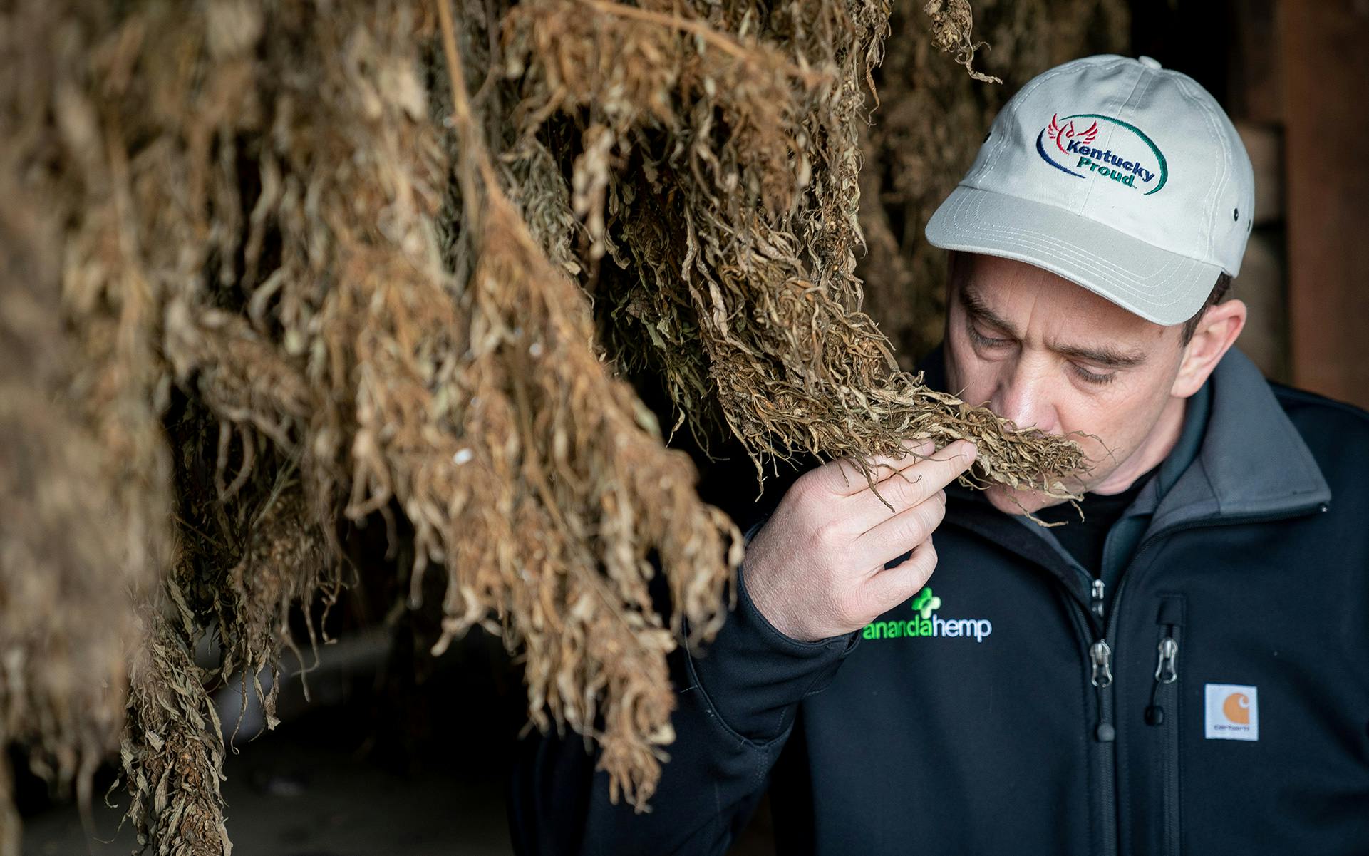 Legal Hemp Is Not Safe on American Highways | Leafly