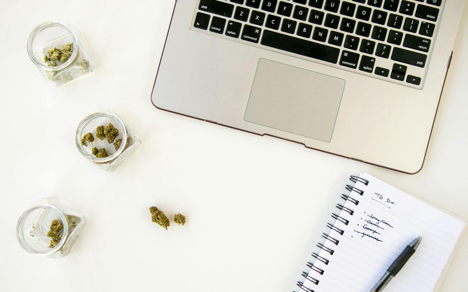 5 Canadian Cannabis Strains to Help You Stay Productive this Spring