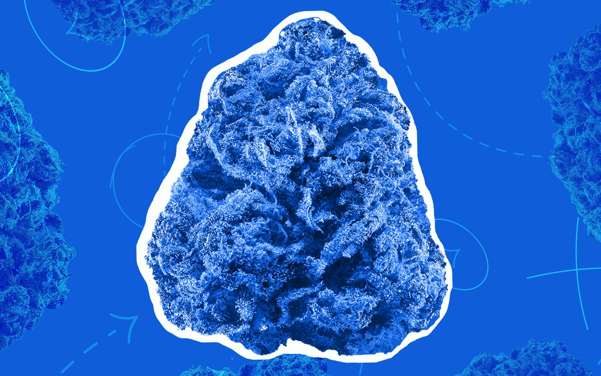 You Picked Our 2019 Strain Madness Champion. Here It Is