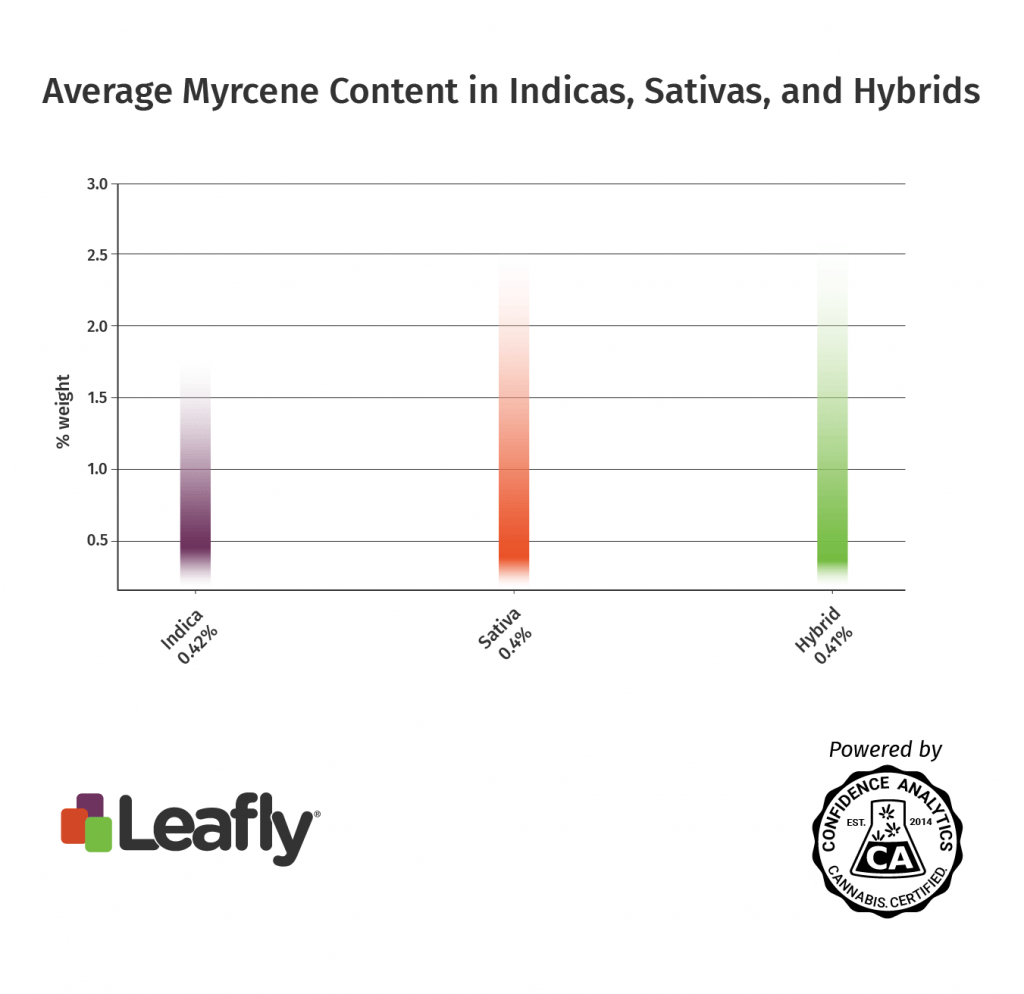 What is myrcene and what does this cannabis terpene do? | Leafly