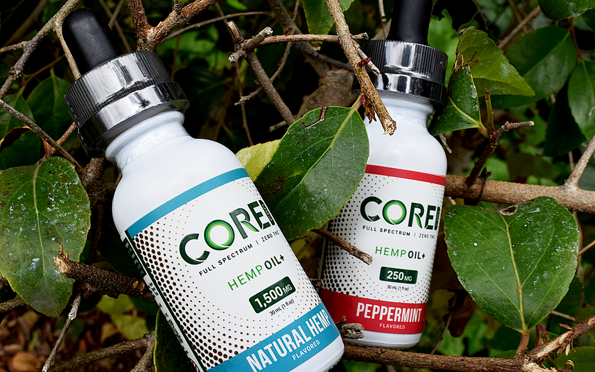 How CBD Companies Are Preparing for the Future of Compliance | Leafly