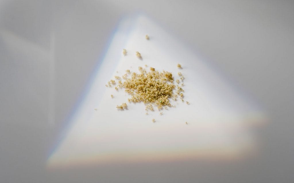 What is kief and what to do with it? | Leafly