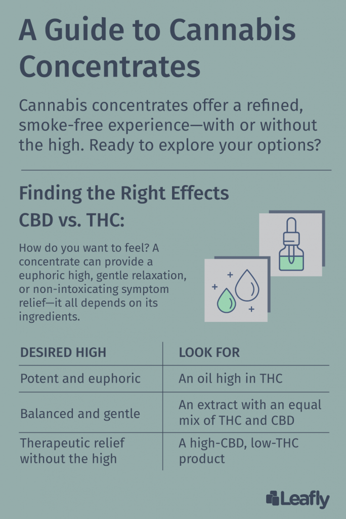 The best cannabis concentrates for beginners | Bud Cargo Online Dispensary