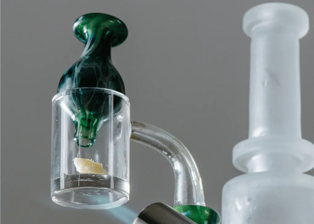 The cannabis that cheats death: What frogs have to do with fresh frozen ...