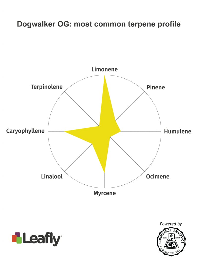 6 Arousing Cannabis Strains for Your Summer Romance | Leafly