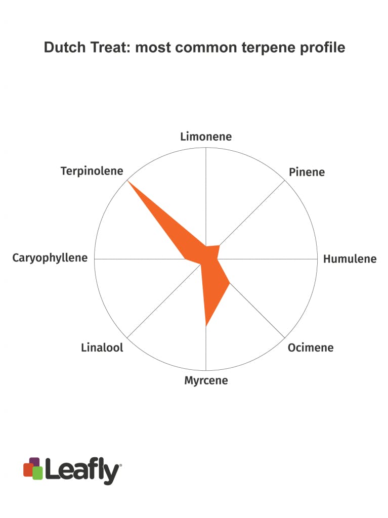 7 cannabis strains perfect for daytime use | Leafly