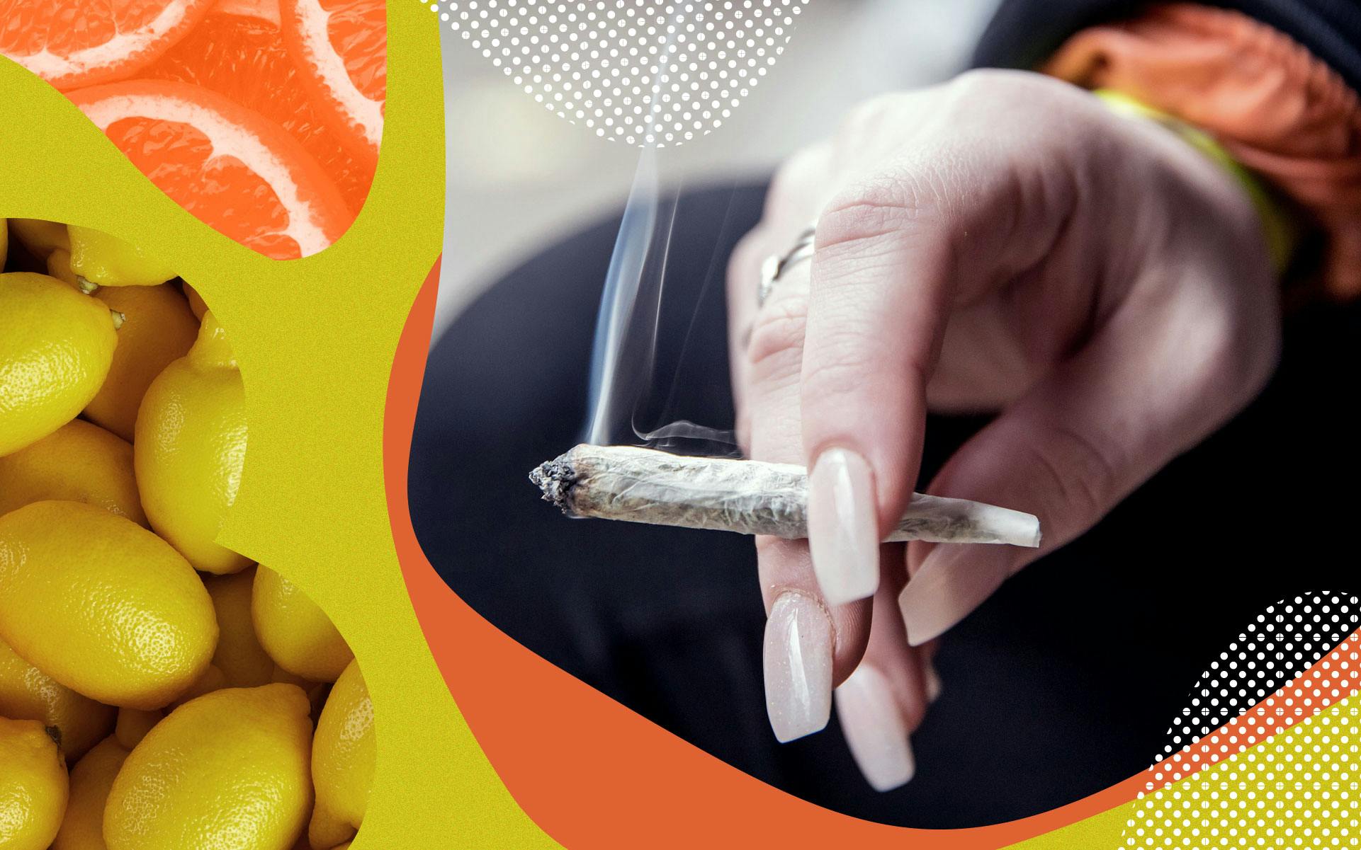 Canadian cannabis strains for people who love limonene