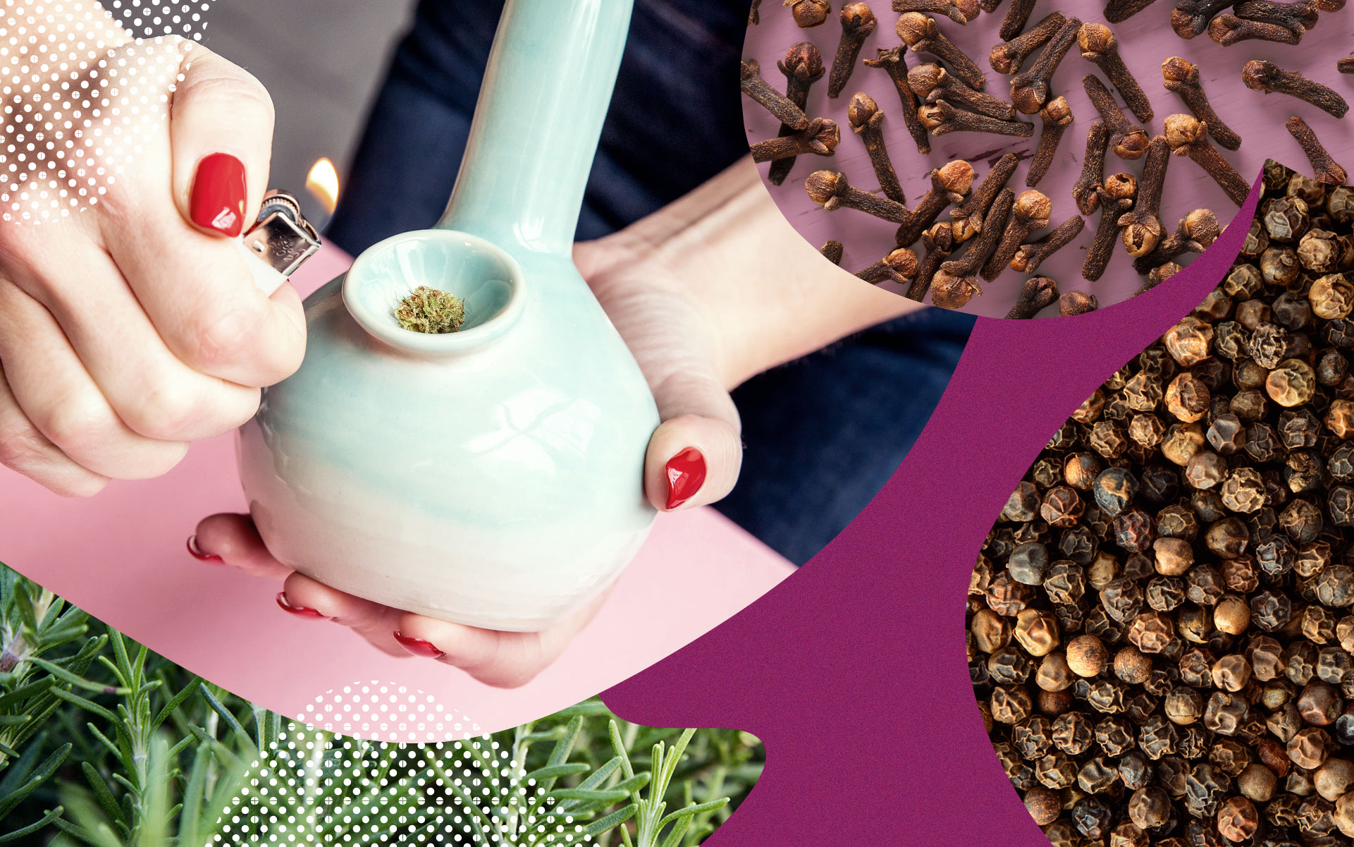 Canadian cannabis strains for people who love caryophyllene