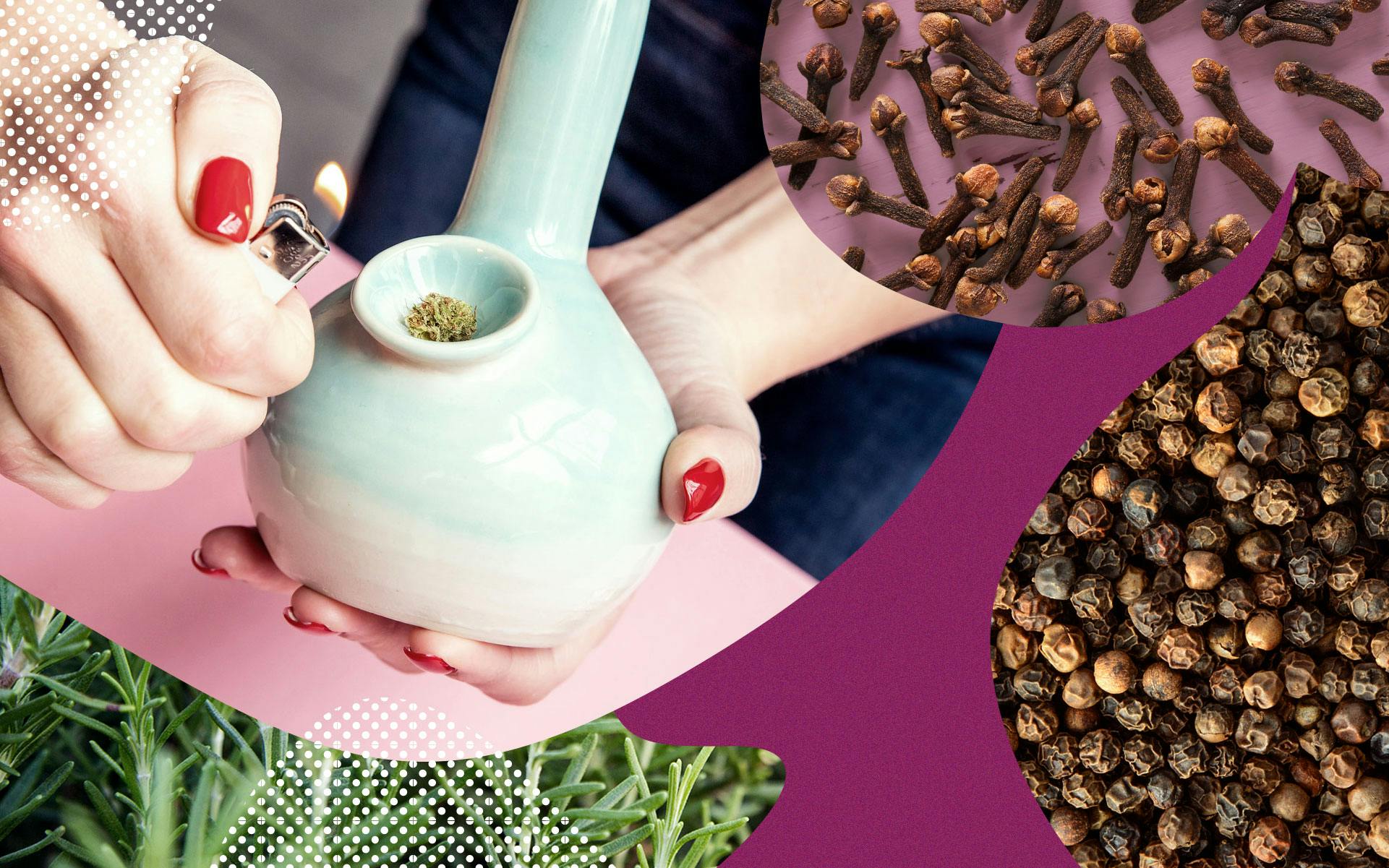 Canadian cannabis strains for people who love caryophyllene