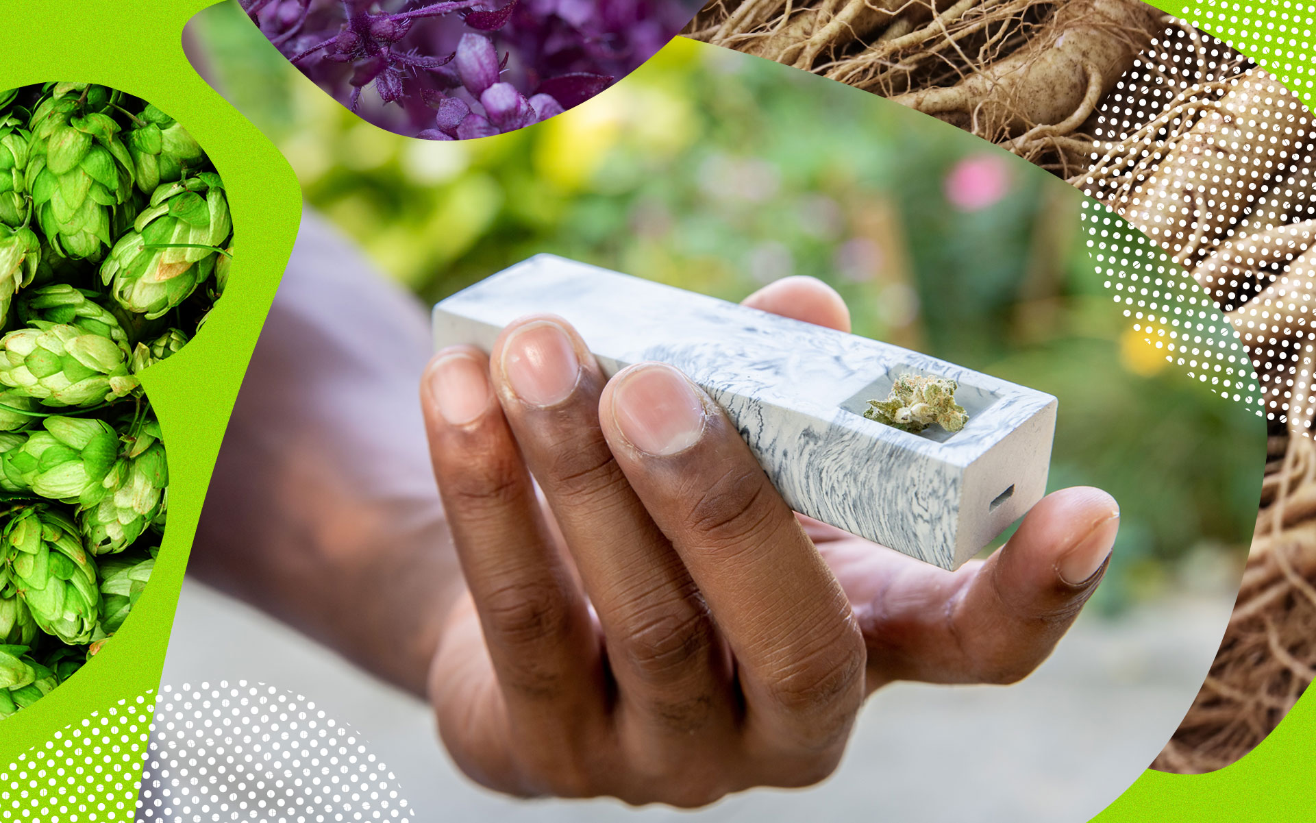 Canadian cannabis strains for people who love humulene