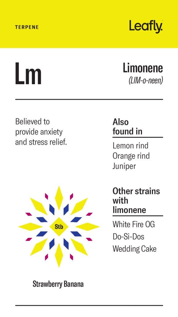 What Is Limonene & What Are Its Benefits in Cannabis? | Leafly