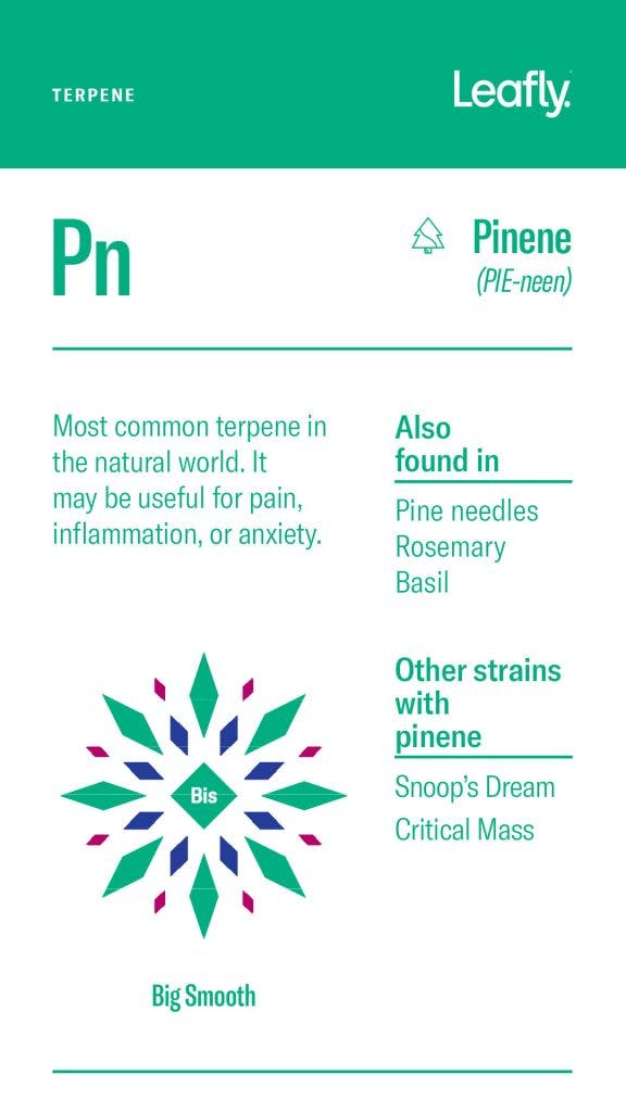 What Is Pinene and What Are Its Benefits in Cannabis? | Leafly