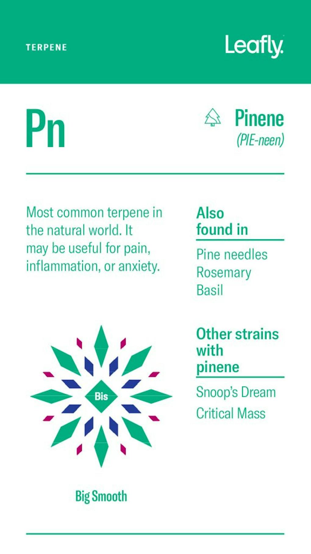 What Is Pinene and What Are Its Benefits in Cannabis? | Leafly