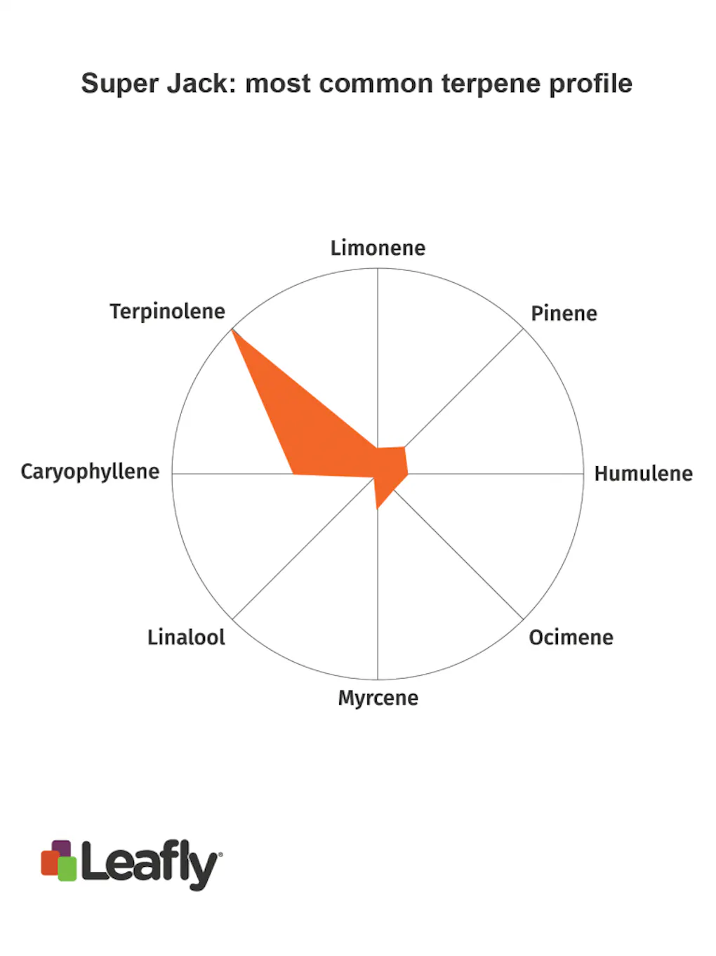 Which terpenes are in 'Jack' strains?