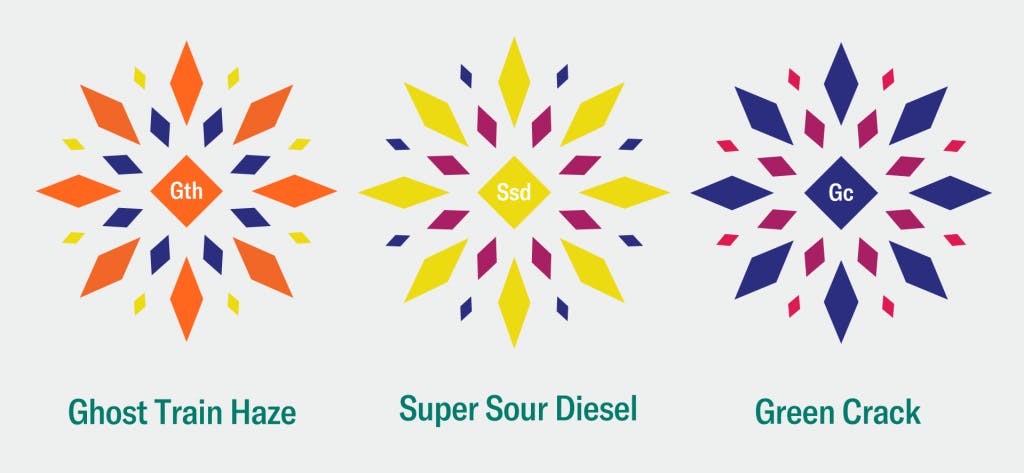 Why has Leafly created a new visualization system for cannabis? | Leafly