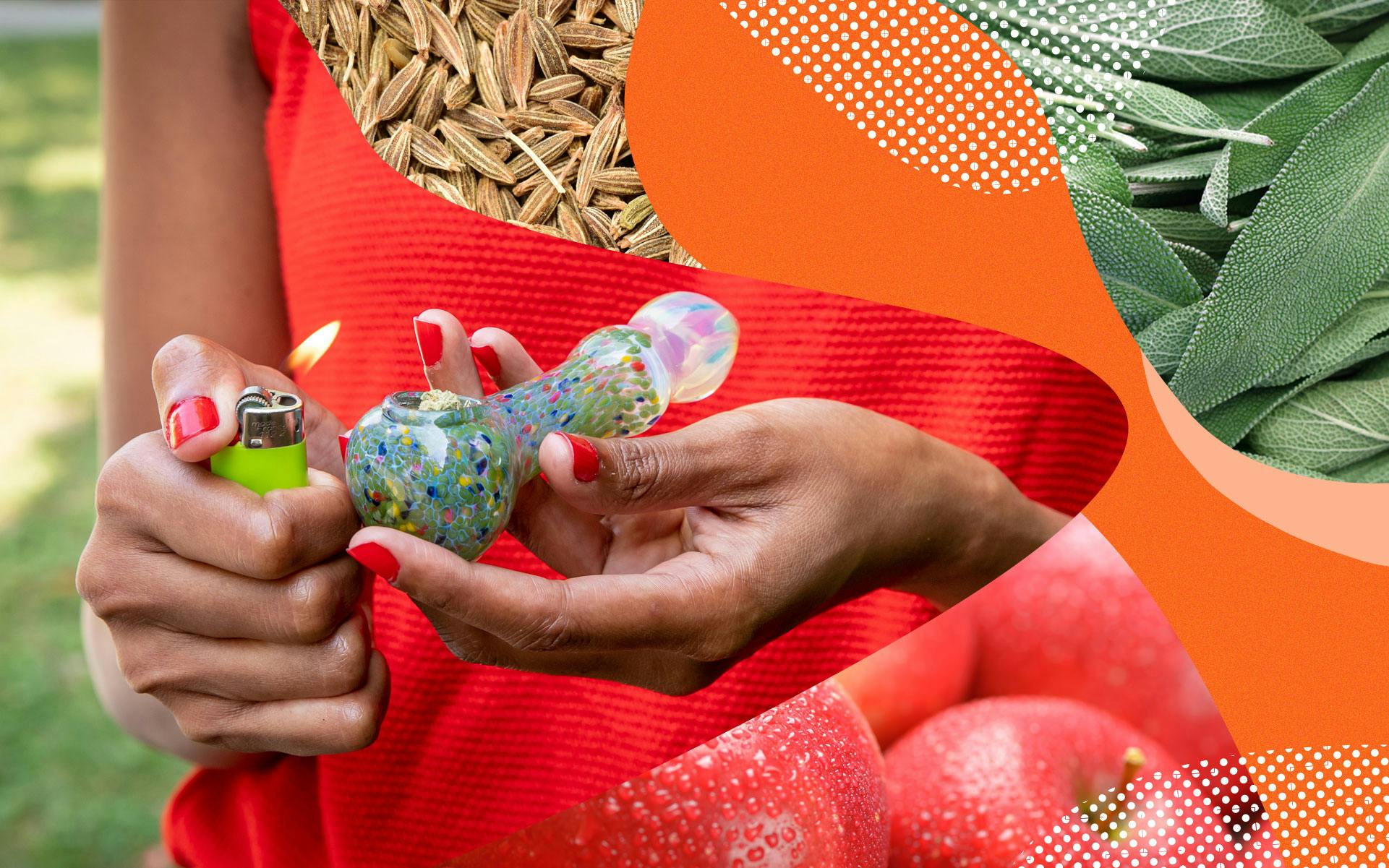 Canadian cannabis strains for people who love terpinolene