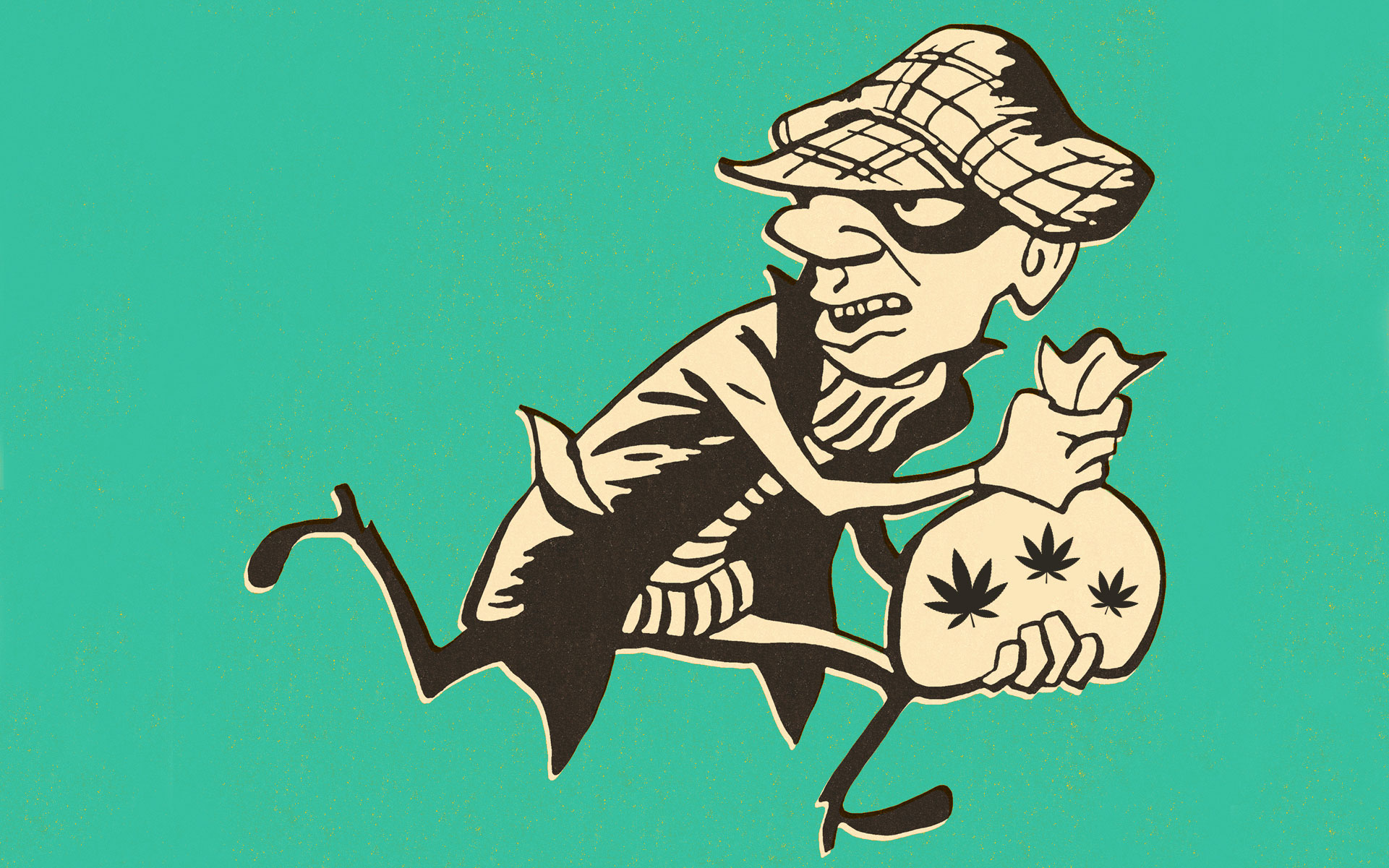 Area man mistreats cannabis plants in stolen van | Leafly