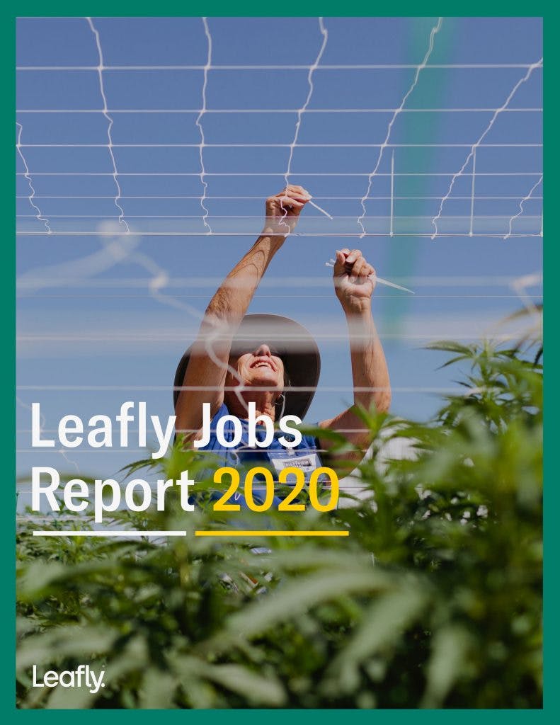 2020 Cannabis Jobs Report: Legal cannabis now supports 243,700 full ...