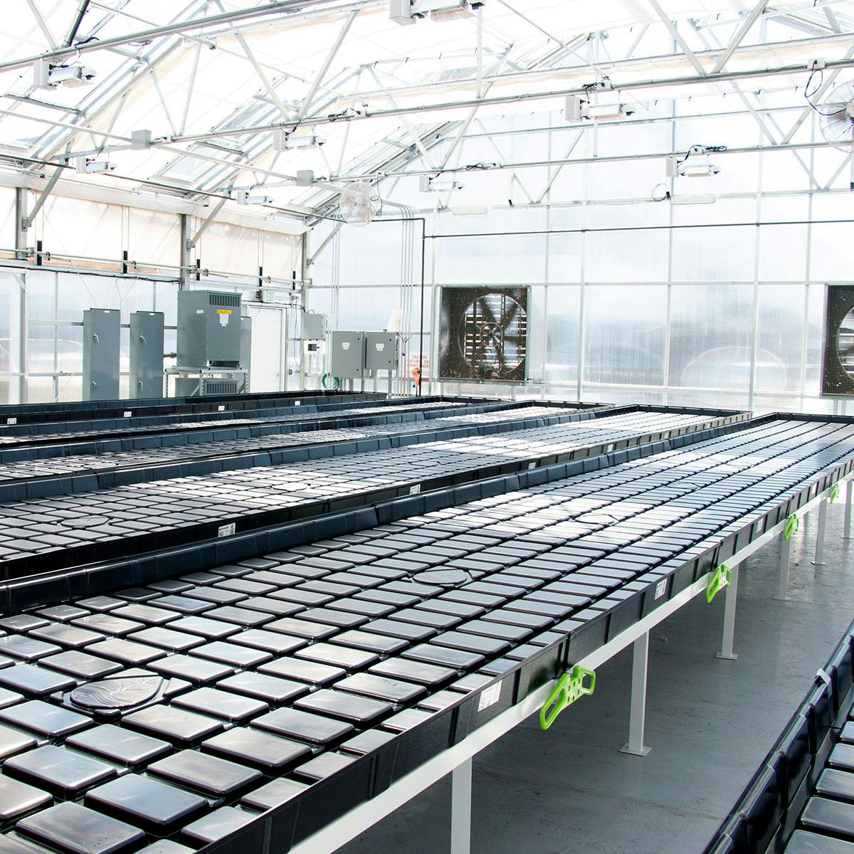 4 tips for switching your indoor crop to cannabis | Leafly