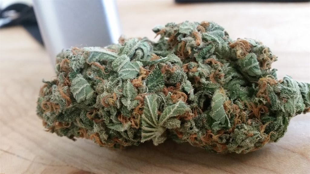 Try these popular Canadian cannabis strains | Leafly