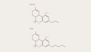 What Is THCV Cannabis Glossary Leafly What Is THCV Cannabis Glossary Leafly