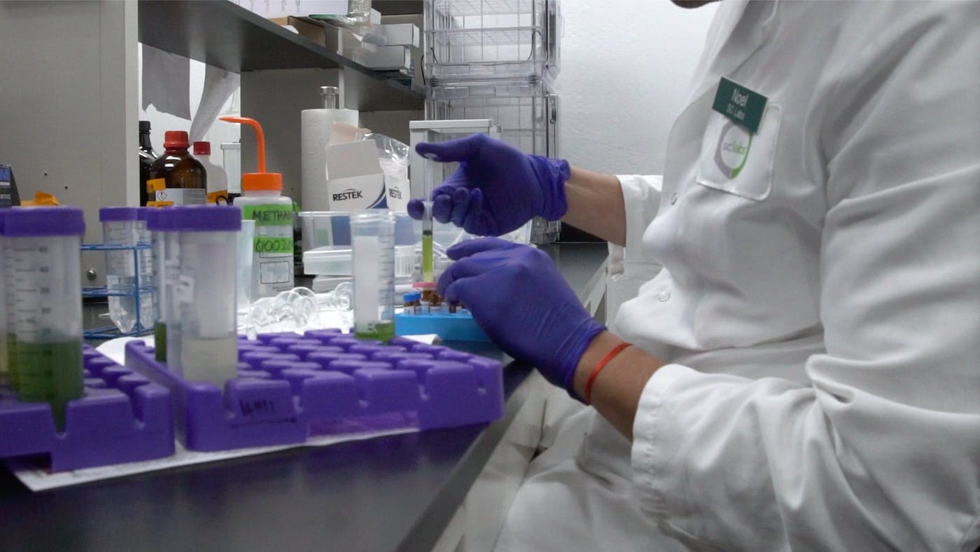 Is your CBD what it says it is? Study finds high-THC weed sold as hemp