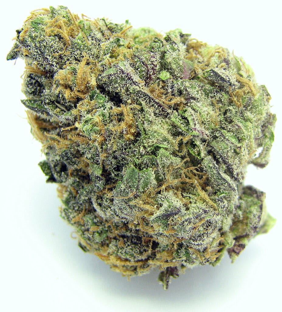 Pleased as Purple Punch: A ‘Purps’ marijuana family genealogy | Leafly