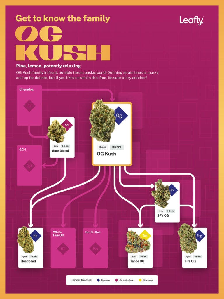 An Epoch of OG: The OG Kush family genealogy | Leafly