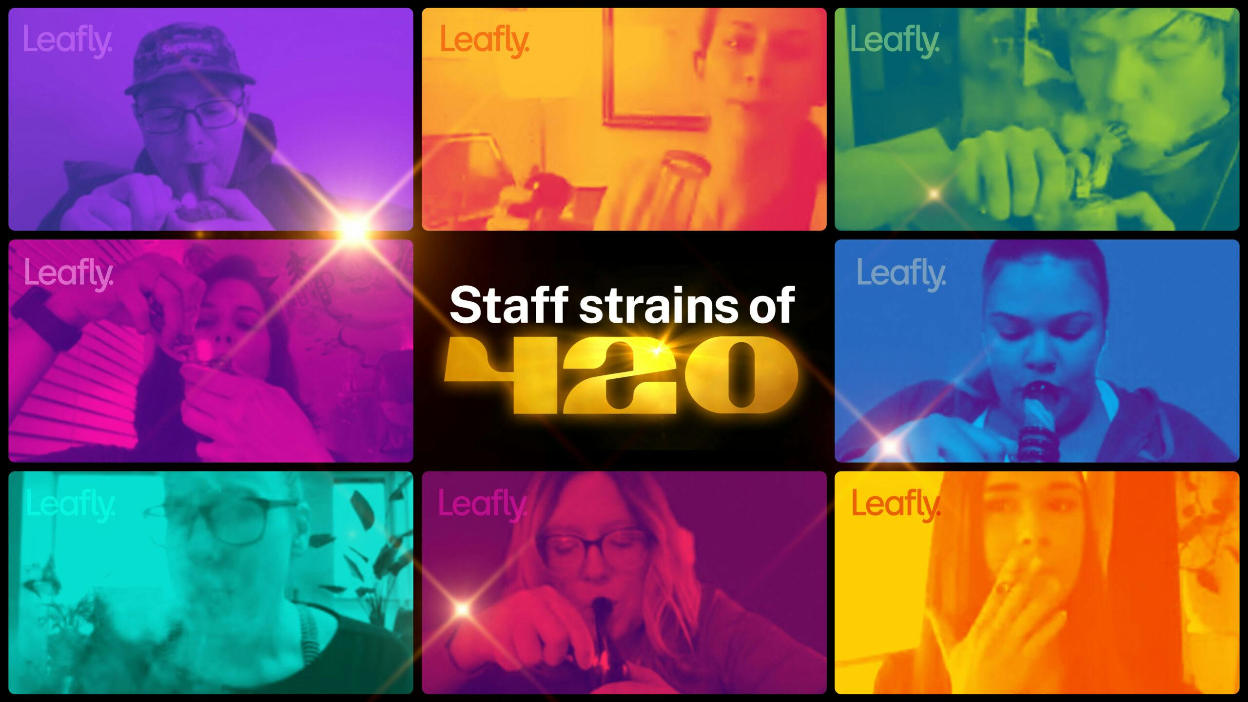Leafly staff picks: What the experts smoke on 4/20 | Leafly