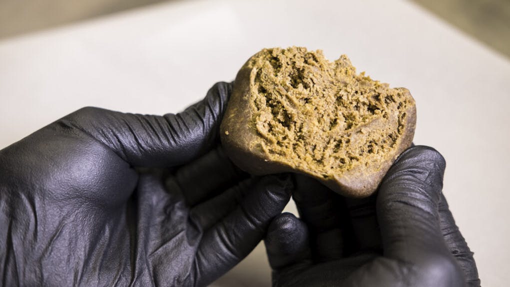 How to make hash at home | Leafly