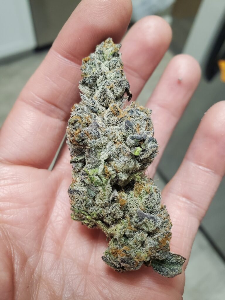 7 hype strains without cookies in them | Leafly