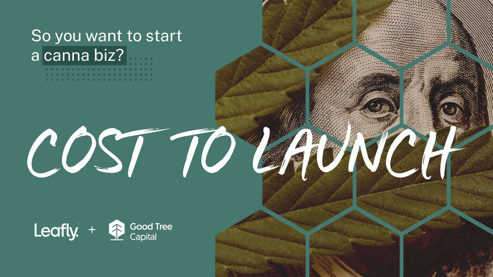 How much does it cost to launch a cannabis business? | Leafly
