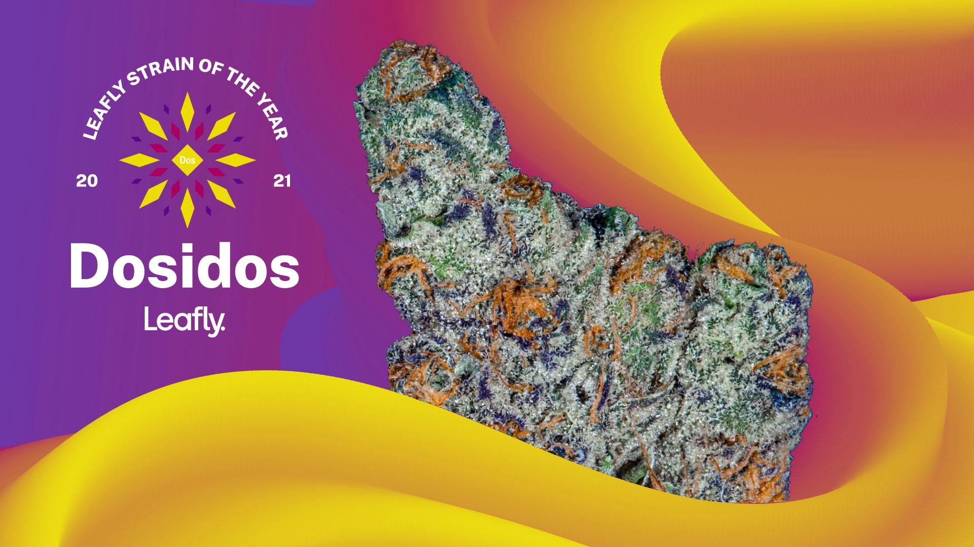 Canada's Best Cannabis Strains and Products | Leafly