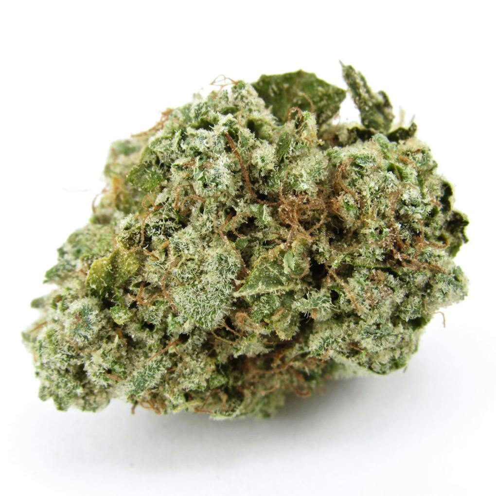 Leafly Buzz: 12 top-shelf weed strains of February | Leafly