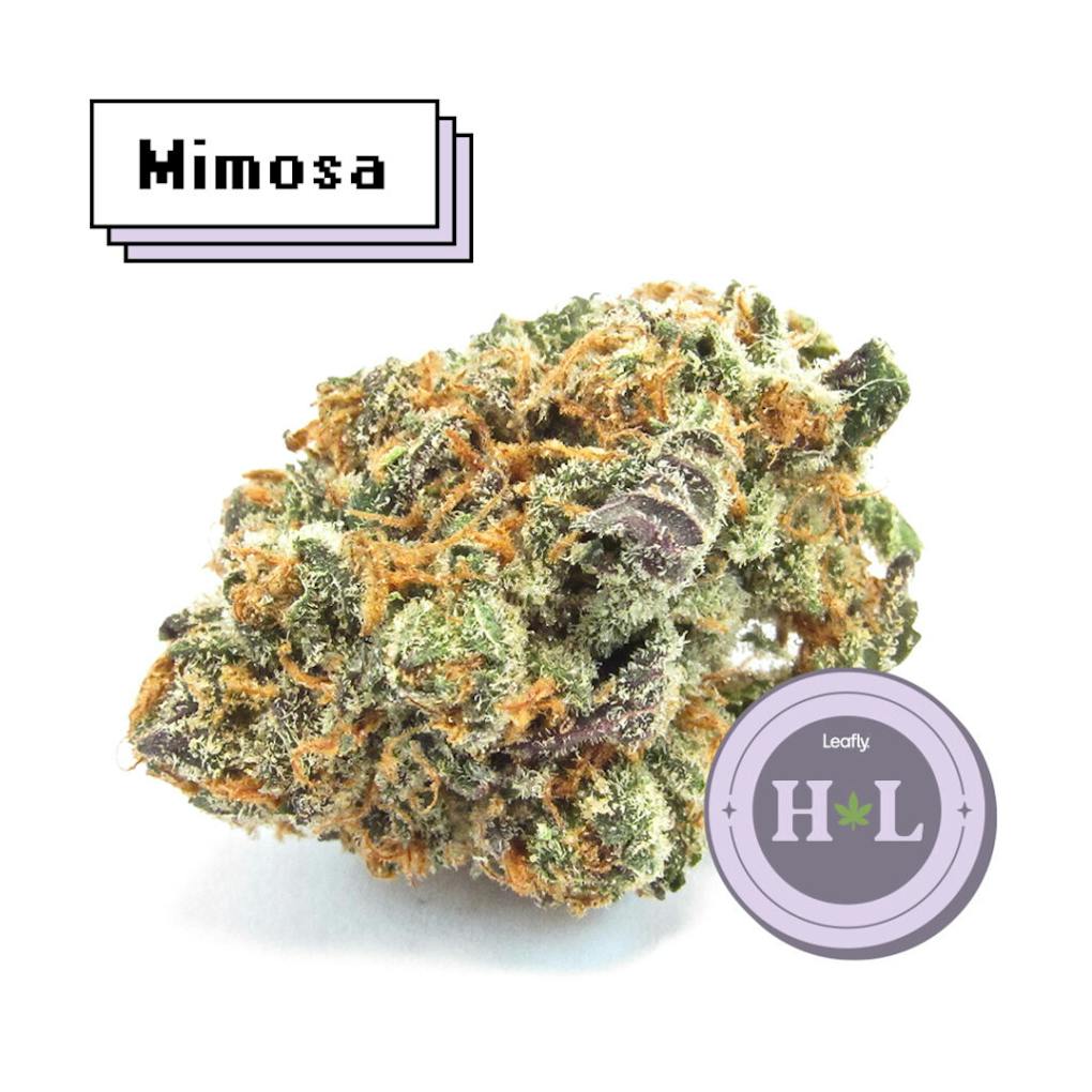 March 2022 Leafly HighLight: Mimosa strain | Leafly