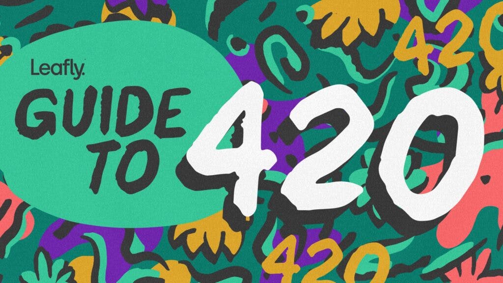 The ultimate 420 guide | Leafly