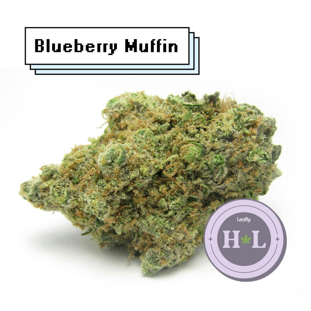 May 2022 Leafly HighLight: Blueberry Muffin strain is tops | Leafly